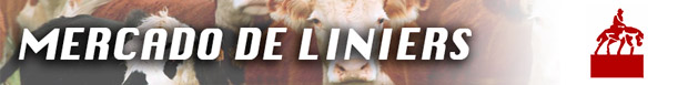 Mercado de Liniers – El Regional Digital