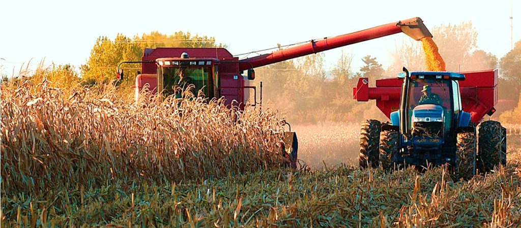 La cosecha de maíz tomó impulso en gran parte del país gracias a las ...