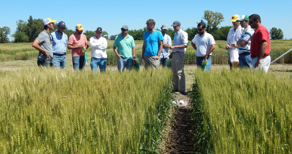 Día del Ingeniero agrónomo: “Vemos que se ha valorado nuestra profesión ...