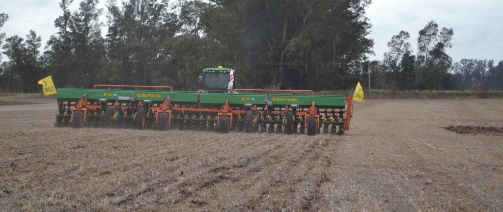 Aseguran que la realización de un barbecho corto es importante para ...