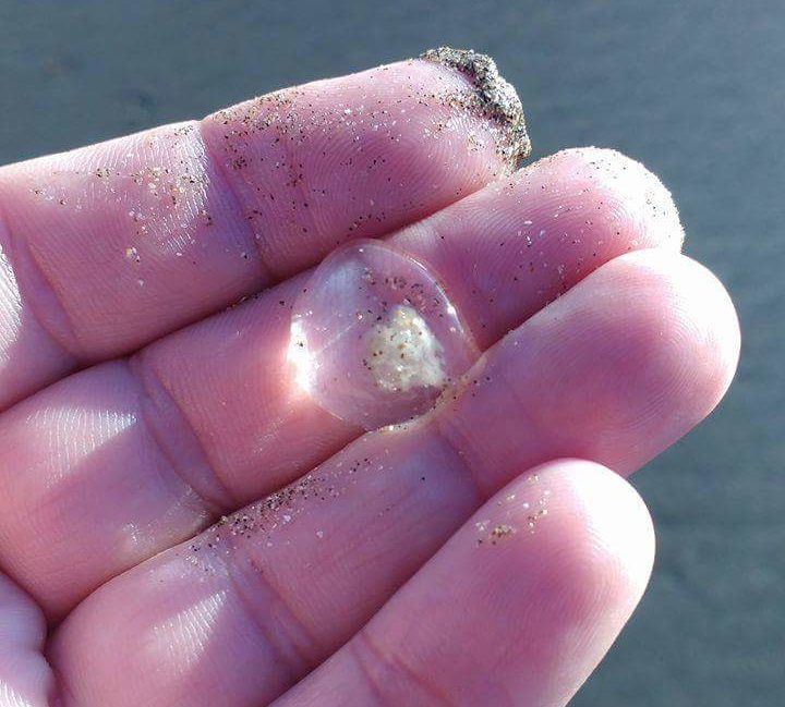 Tapiocas: un fenómeno de la naturaleza que afecta y sorprende a los ...