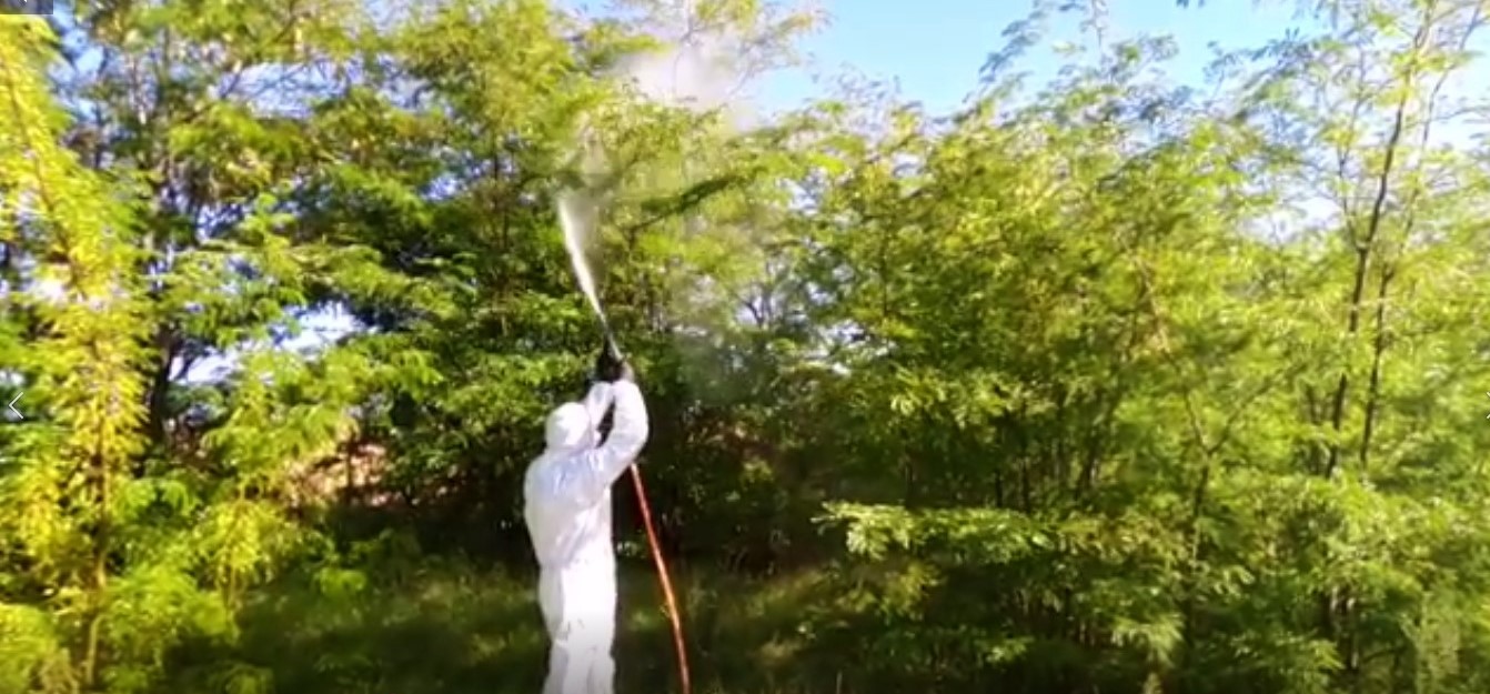 Municipalidad dio a conocer un trabajo conjunto con la Cooperativa de ...