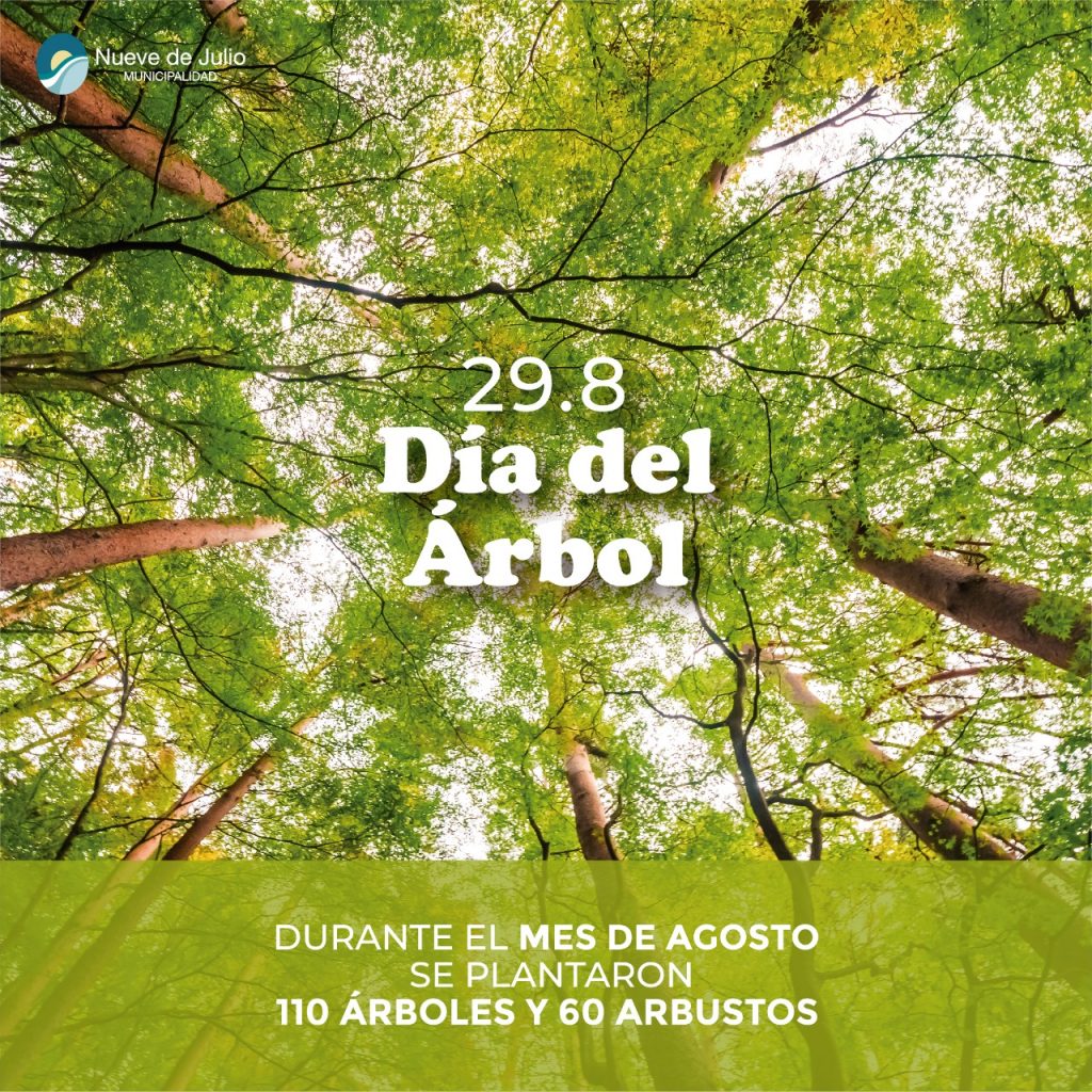Dan a conocer actividades y acciones por el «Dia del Árbol» – El ...