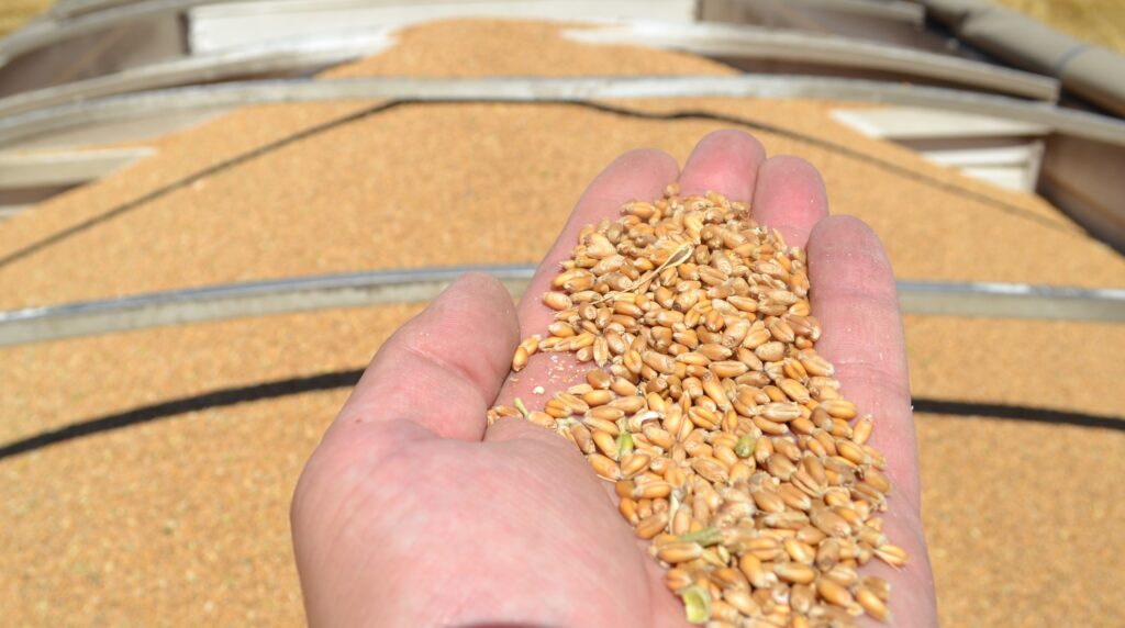 Antes de sembrar, analizar: “sintonía fina” para determinar el poder ...