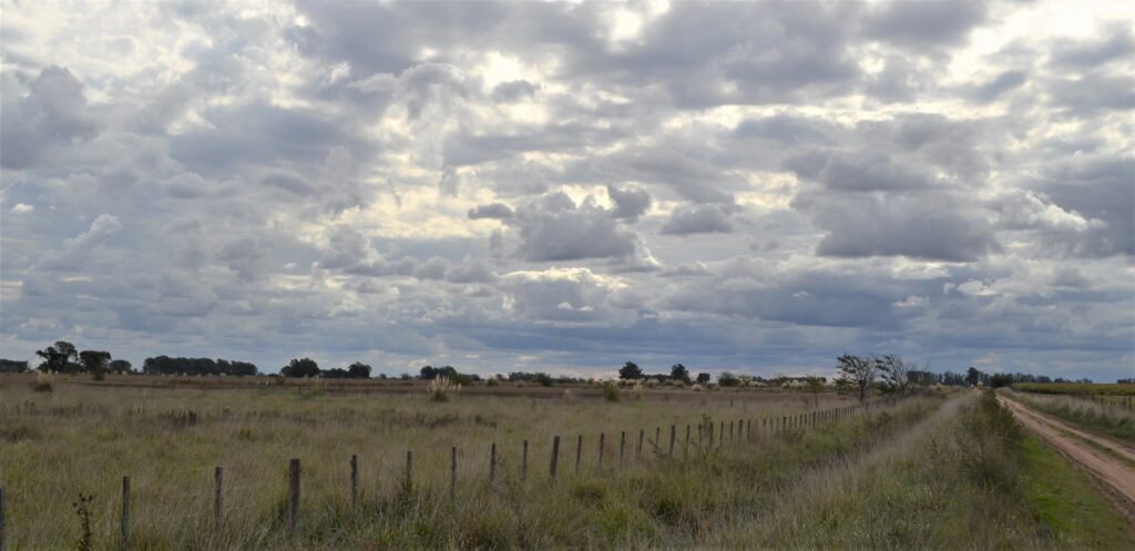 Se conoce la Perspectiva Climática para la región oeste – El Regional ...