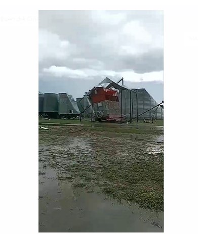 Impacto del temporal de clima en 9 de Julio: «Tengo 35 años acá en el ...