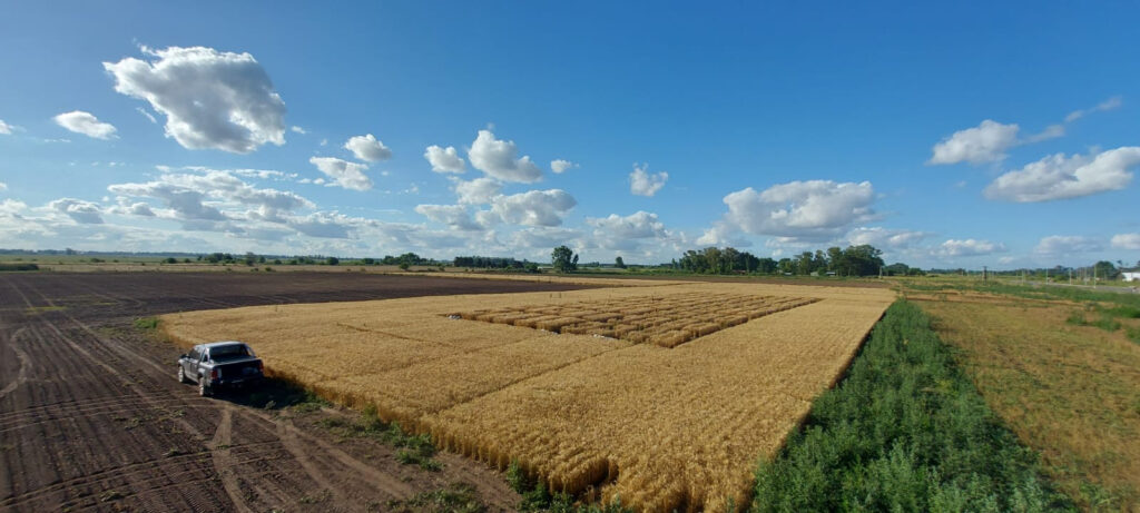 PT Farm: La propuesta inédita de un campo experimental privado que ...